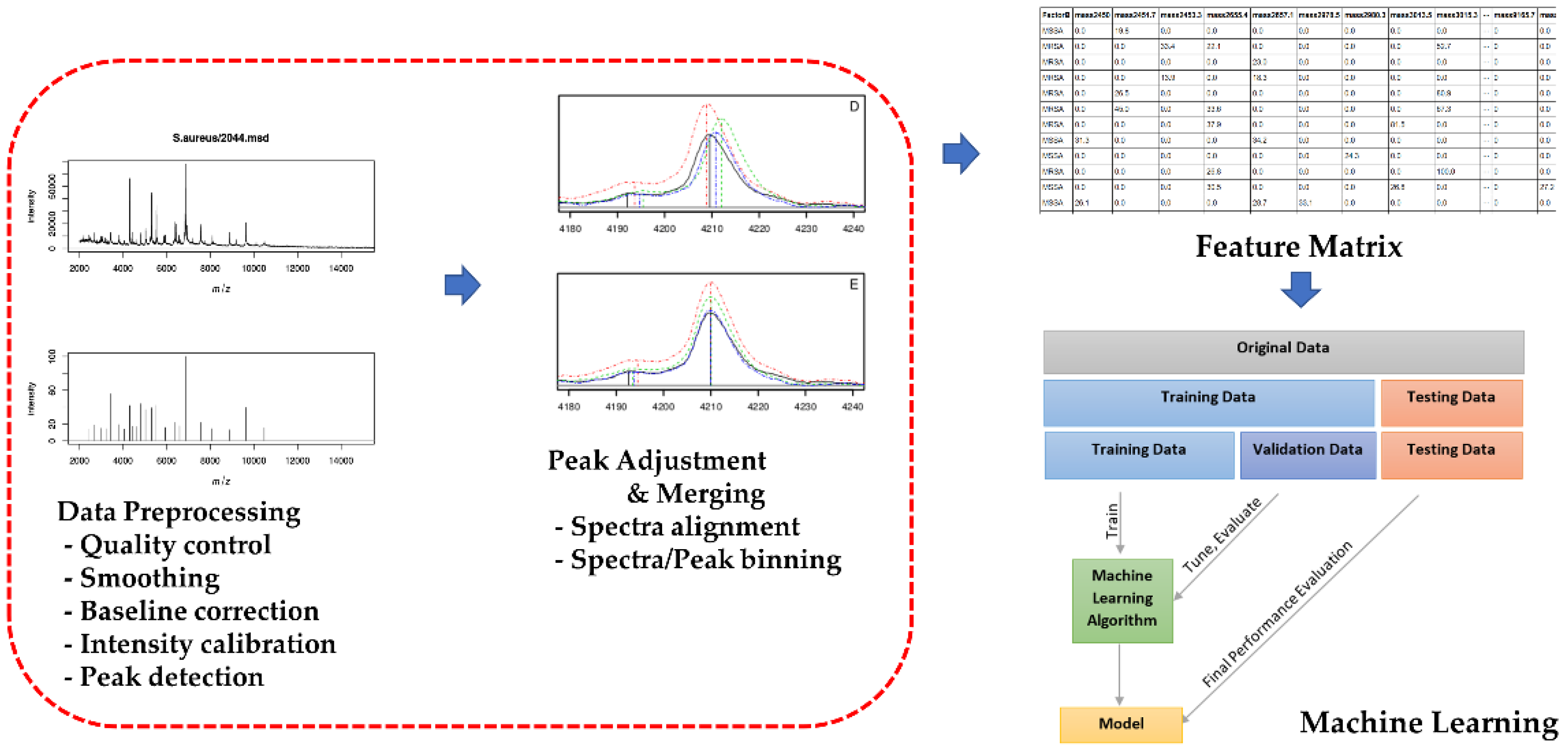 Performance of a Machine Learning-Based Methicillin Resistance of ...
