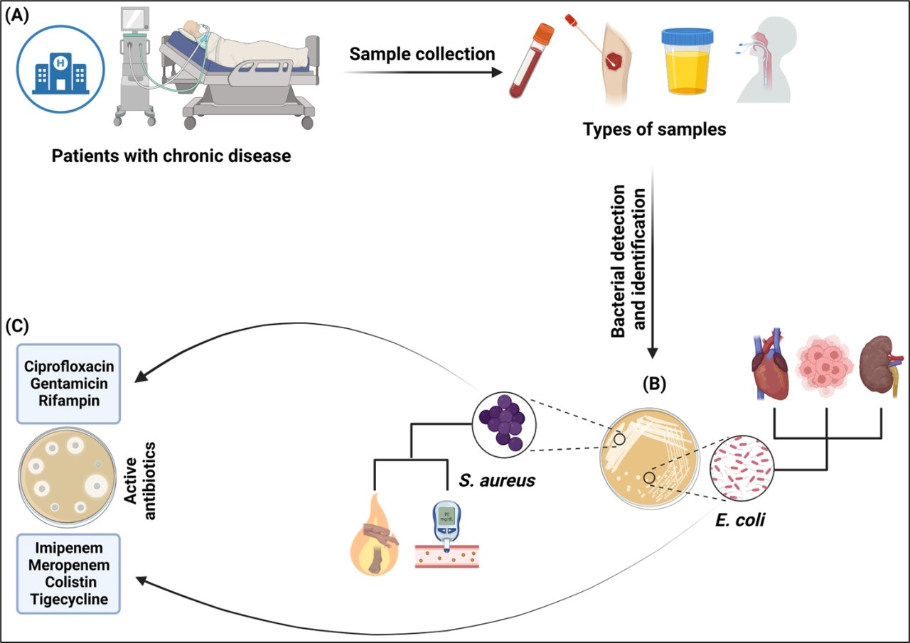 Microorganisms | Free Full-Text | Bacterial Infections among Patients ...