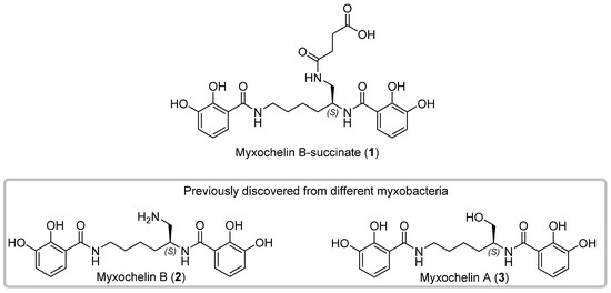 Discovery, Biosynthesis and Biological Activity of a Succinylated ...