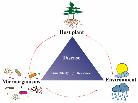 Microbial Effectors: Key Determinants in Plant Health and Disease