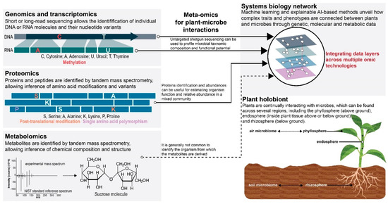 The Promises, Challenges, and Opportunities of Omics for Studying the ...