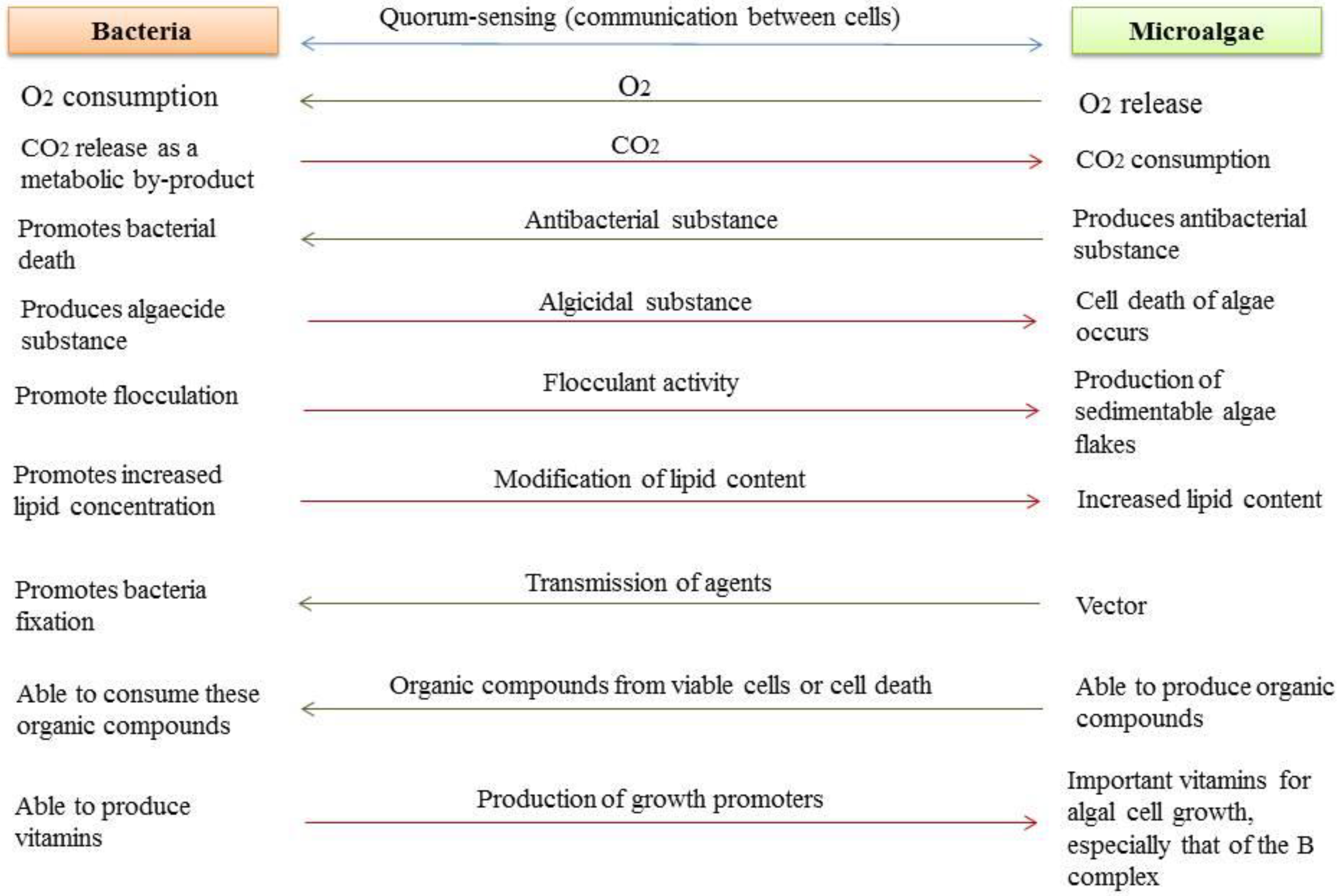 Obtaining Bioproducts from the Studies of Signals and Interactions ...