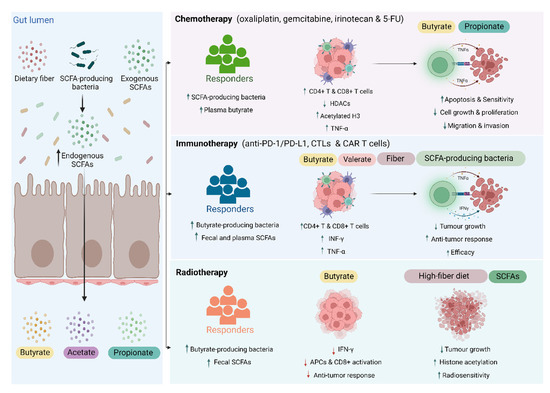 Microorganisms | Free Full-Text | Gut Microbiota-Derived Short-Chain Fatty Acids: Impact on ...