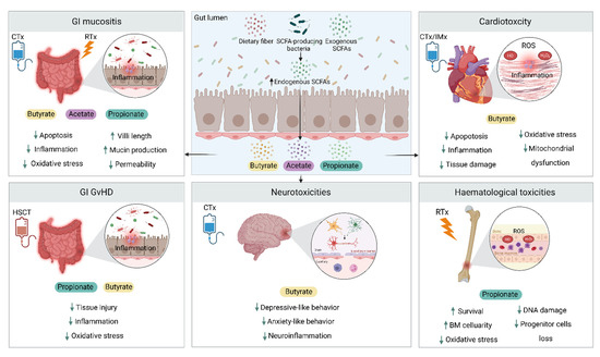 Gut Microbiota-Derived Short-Chain Fatty Acids: Impact on Cancer ...