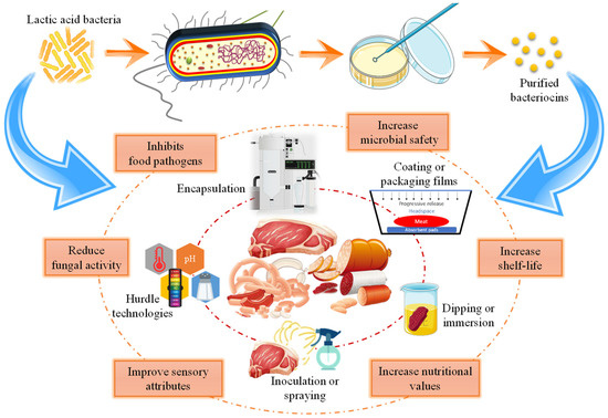 Lactic Acid Bacteria and Bacteriocins: Novel Biotechnological Approach for Biopreservation of ...