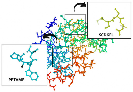 Effect of Lactobacteria on Bioactive Peptides and Their Sequence ...