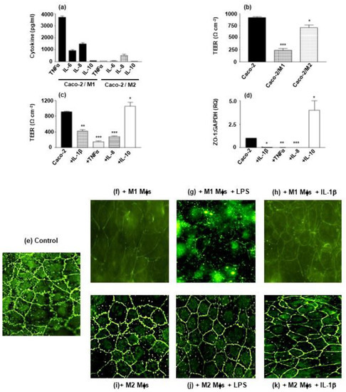 Lacticaseibacillus casei Strain Shirota Modulates Macrophage-Intestinal ...