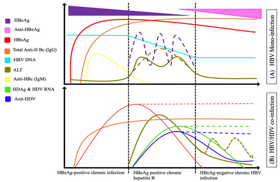 Viral Diagnosis of Hepatitis B and Delta: What We Know and What Is ...