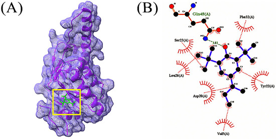 Cell-Free Supernatants (CFSs) from the Culture of Bacillus subtilis ...