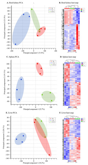 Microorganisms | Free Full-Text | Multi-Organ Transcriptome Response of ...