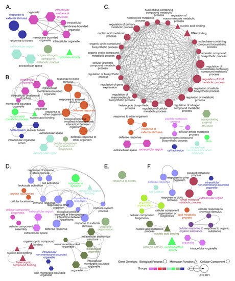 Microorganisms | Free Full-Text | Multi-Organ Transcriptome Response of ...