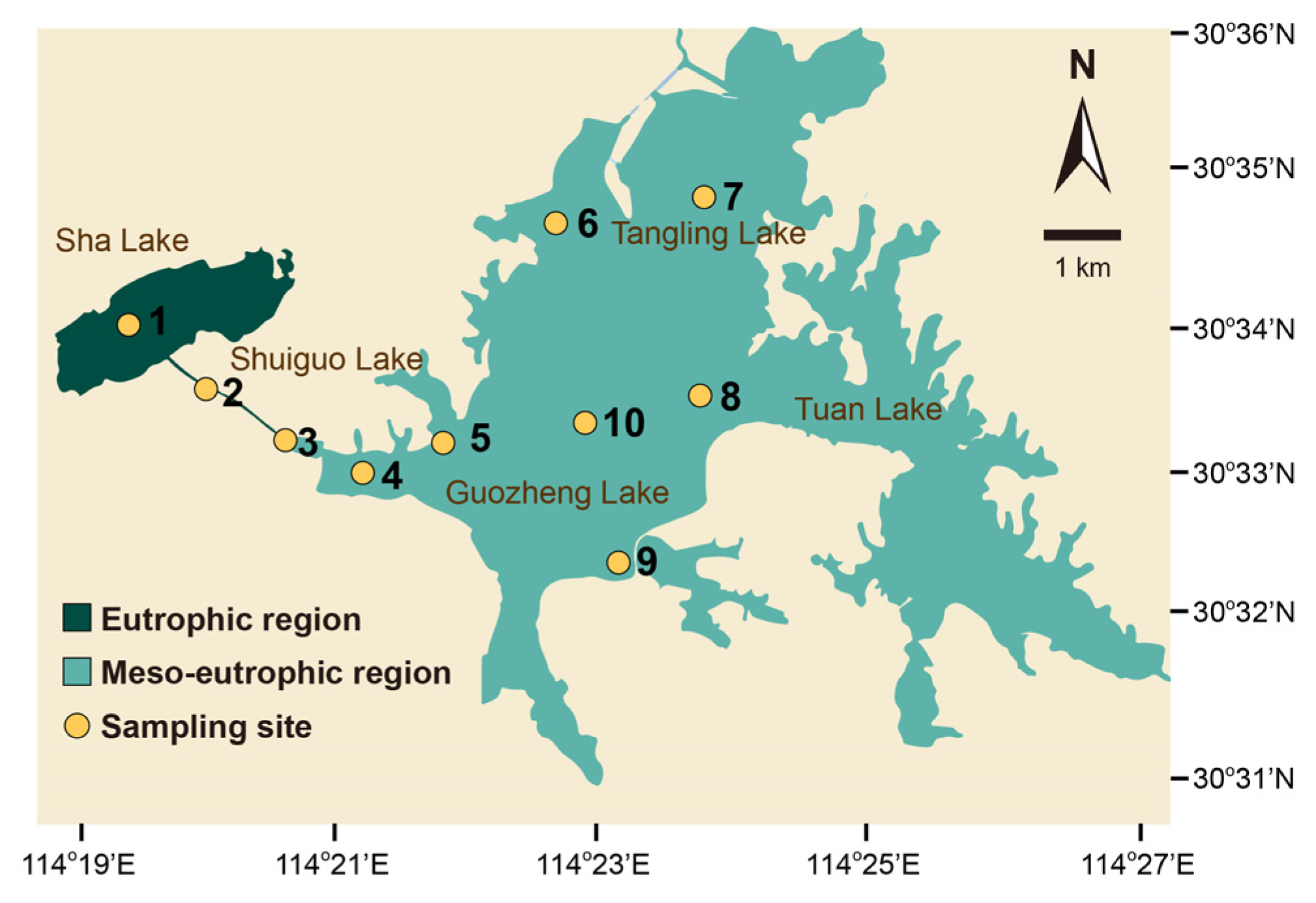 Effect of Environmental Heterogeneity and Trophic Status in Sampling ...