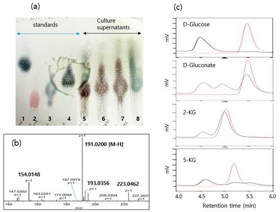 2,5-Diketo-D-Gluconate Hyperproducing Gluconobacter sphaericus SJF2-1 ...