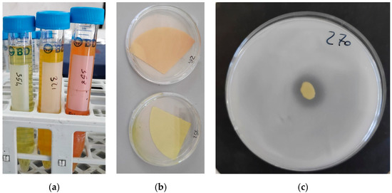 Plant Growth-Promoting Activities of Bacteria Isolated from an ...