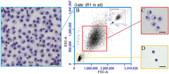The Early Peritoneal Cavity Immune Response to Vibrio Anguillarum ...