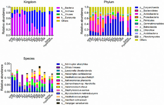 Metagenomic Insights into Microbial Community Structure, Function, and ...