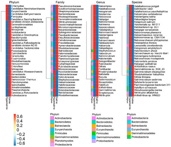 Metagenomic Insights into Microbial Community Structure, Function, and ...