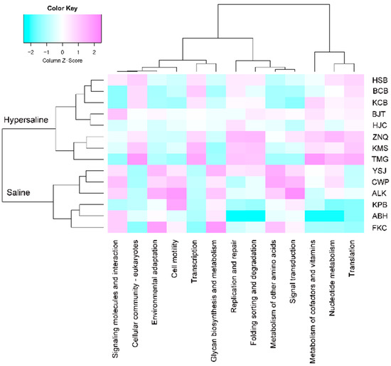 Metagenomic Insights into Microbial Community Structure, Function, and Salt Adaptation in Saline ...