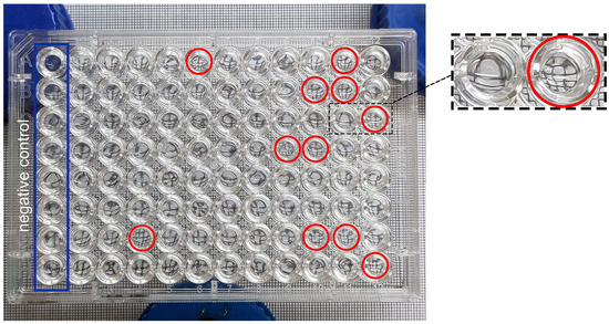 Single-Cell-Based High-Throughput Cultivation and Functional ...