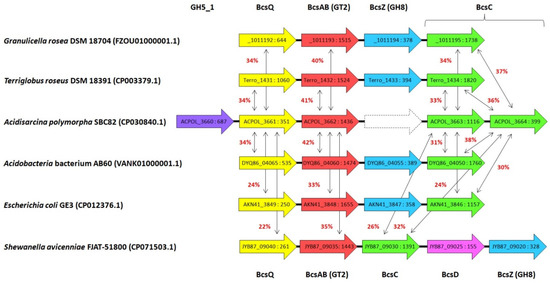 Building a Cell House from Cellulose: The Case of the Soil ...