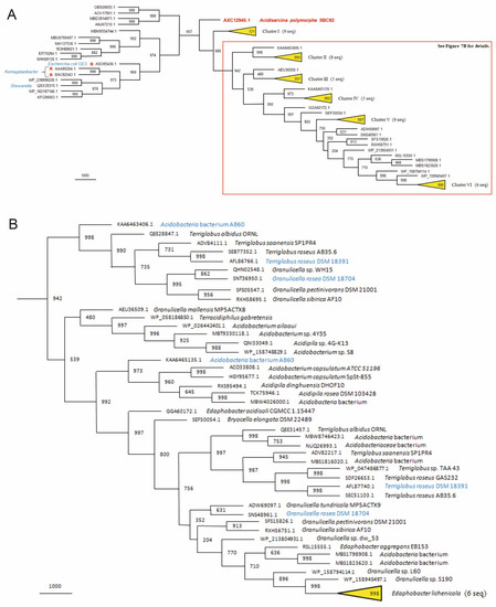 Building a Cell House from Cellulose: The Case of the Soil ...