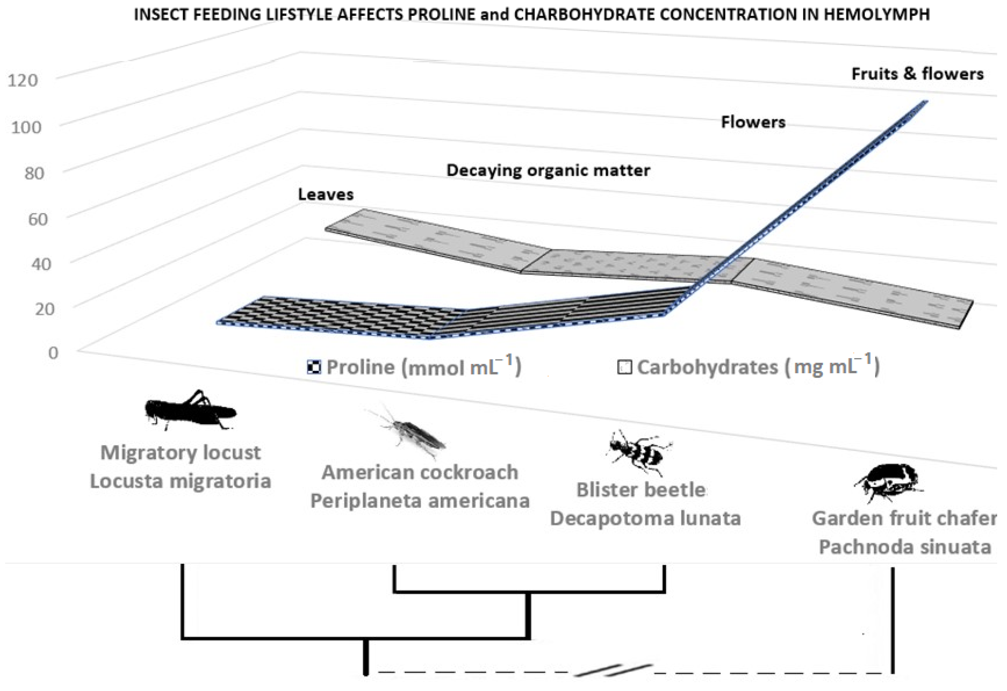 Microbiome-Driven Proline Biogenesis in Plants under Stress ...