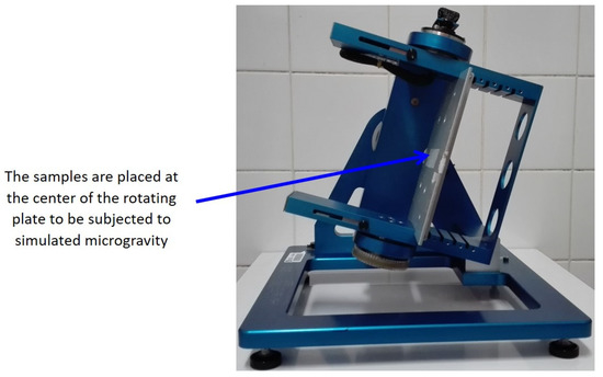 Simulated Microgravity Created Using a Random Positioning Machine Induces Changes in the ...