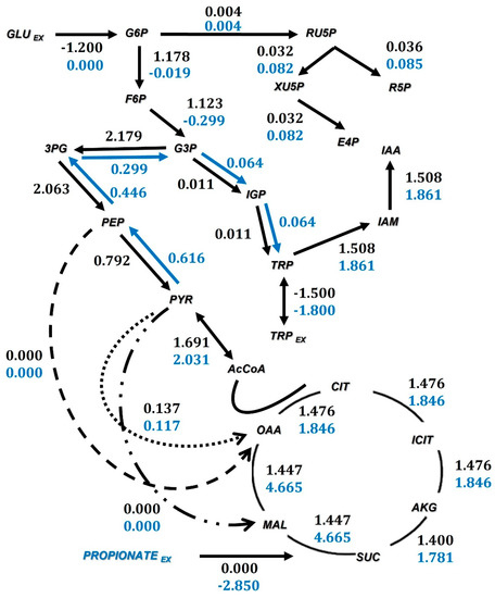 Analysis of the Propionate Metabolism in Bacillus subtilis during 3 ...