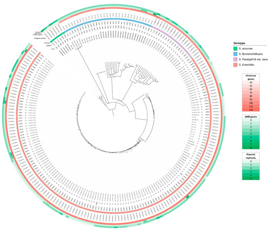 A Practical Bioinformatics Workflow for Routine Analysis of Bacterial ...