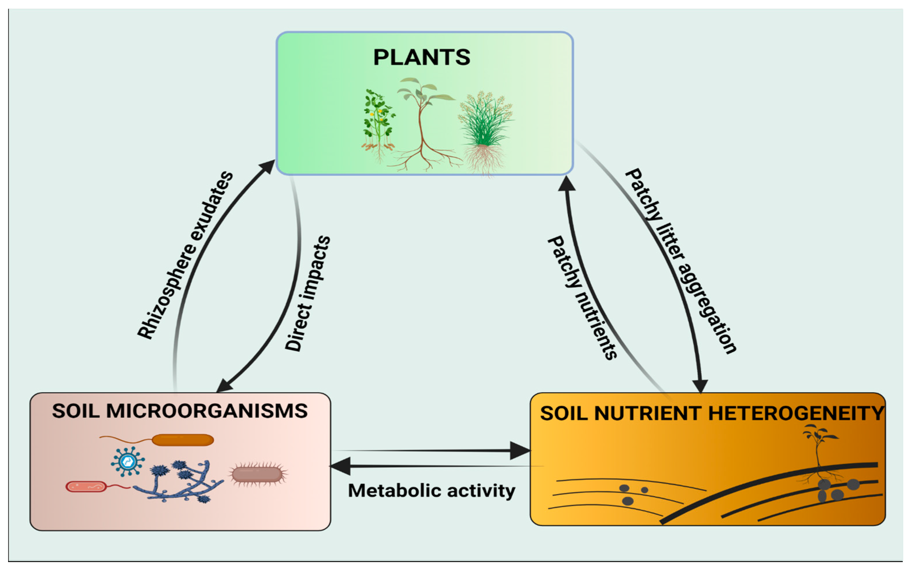 Microorganisms | Free Full-Text | Potential Roles of Soil Microorganisms in Regulating the ...