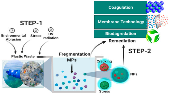 Recent Advances in Micro-/Nanoplastic (MNPs) Removal by Microalgae and Possible Integrated ...
