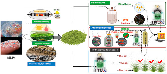 Recent Advances in Micro-/Nanoplastic (MNPs) Removal by Microalgae and Possible Integrated ...