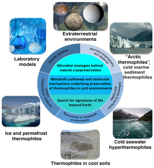 Extremophiles Extreme Organisms Microbial Diversity In Extreme