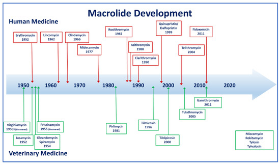 Immunomodulatory Effects of Macrolides Considering Evidence from Human ...