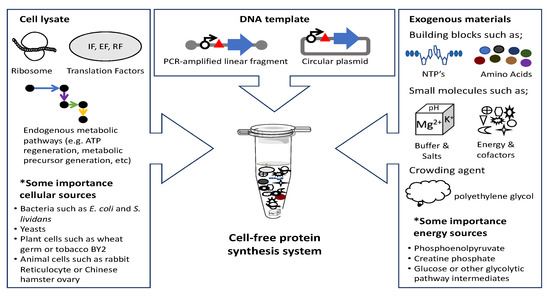 Multiple Gene Expression in Cell-Free Protein Synthesis Systems for Reconstructing ...