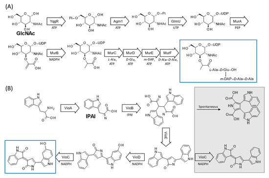 Multiple Gene Expression in Cell-Free Protein Synthesis Systems for ...