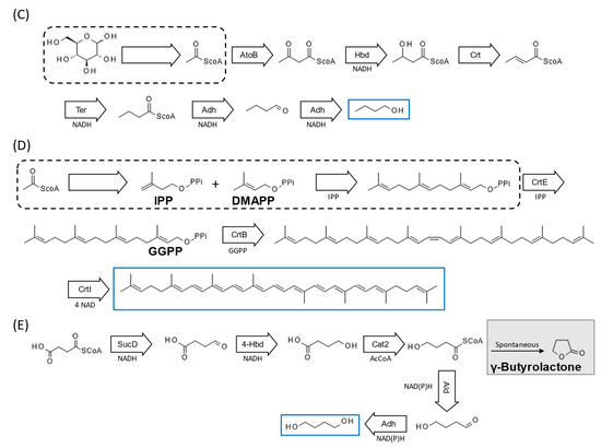 Multiple Gene Expression in Cell-Free Protein Synthesis Systems for Reconstructing ...