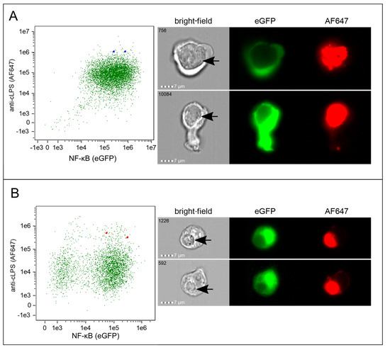 TLR4/CD14/MD2 Revealed as the Limited Toll-like Receptor Complex for ...