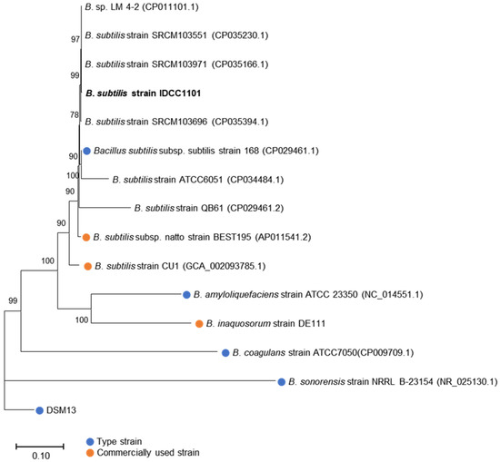 Safety Evaluation of Bacillus subtilis IDCC1101, Newly Isolated from ...