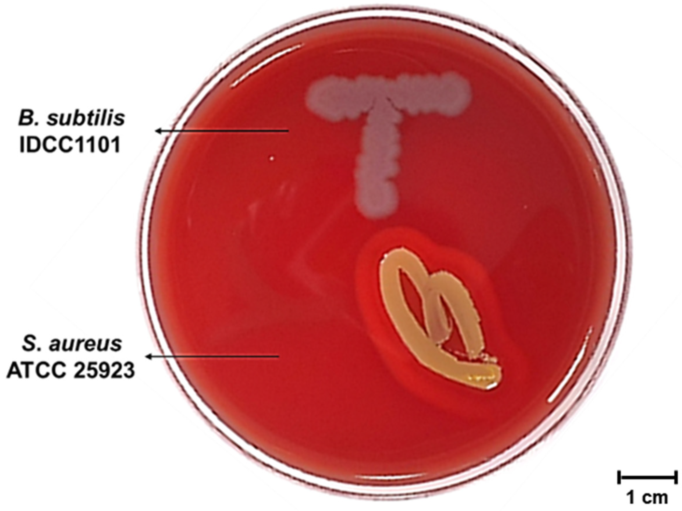 Microorganisms | Free Full-Text | Safety Evaluation of Bacillus subtilis IDCC1101, Newly ...