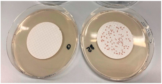 Cefsulodin and Vancomycin: A Supplement for Chromogenic Coliform Agar ...