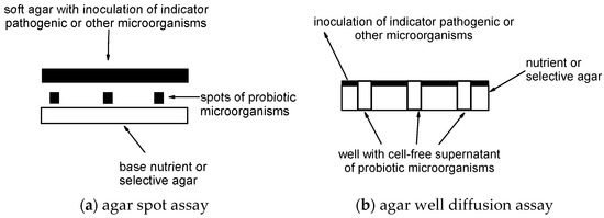 The Antimicrobial Effect of Various Single-Strain and Multi-Strain ...