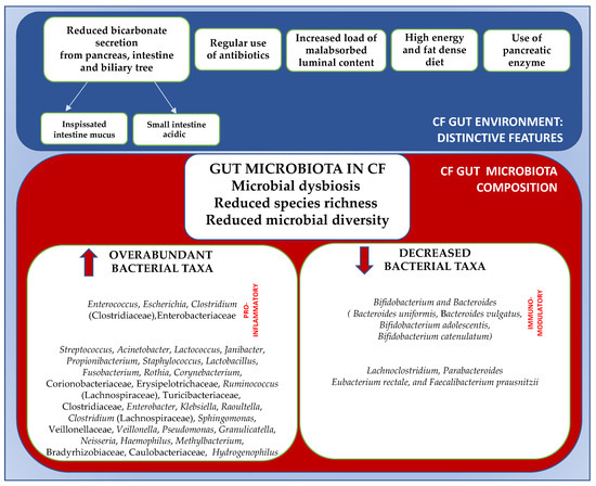 Gut Dysbiosis in Children with Cystic Fibrosis: Development, Features ...