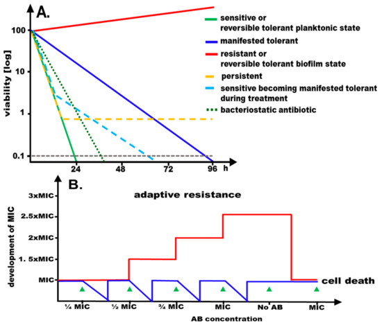 Innovative Strategies to Overcome Antimicrobial Resistance and Tolerance