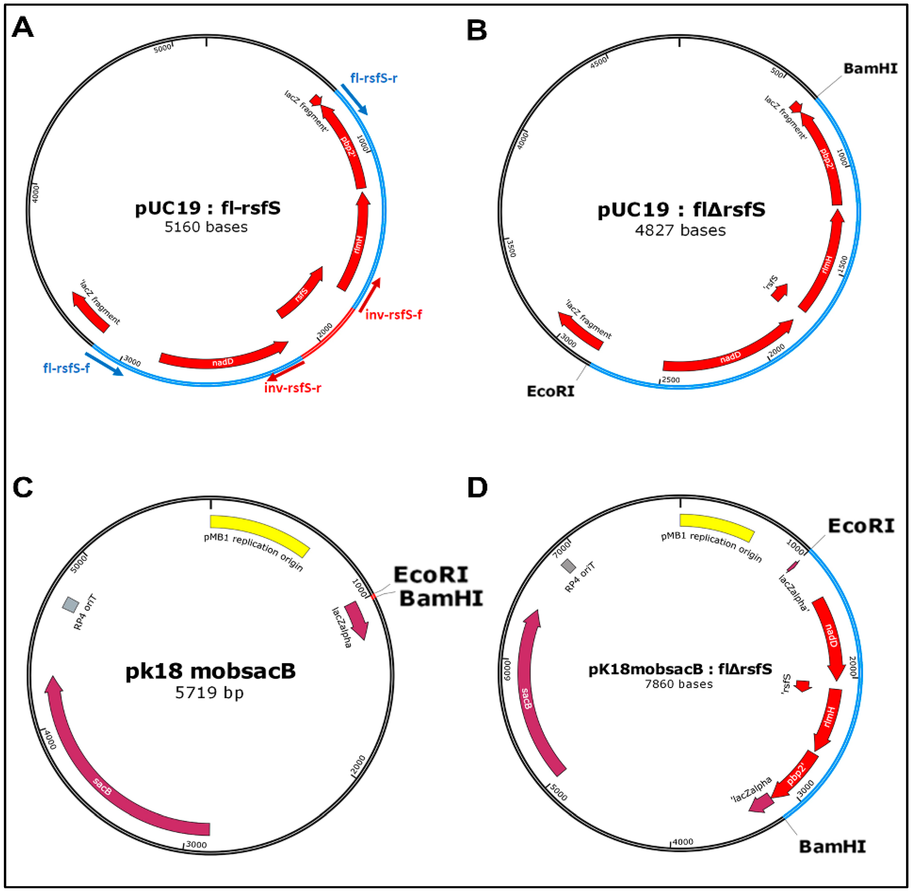 Persistence as a Constituent of a Biocontrol Mechanism (Competition for ...