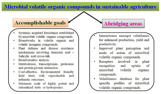 Microbial Volatile Organic Compounds: An Alternative for Chemical ...