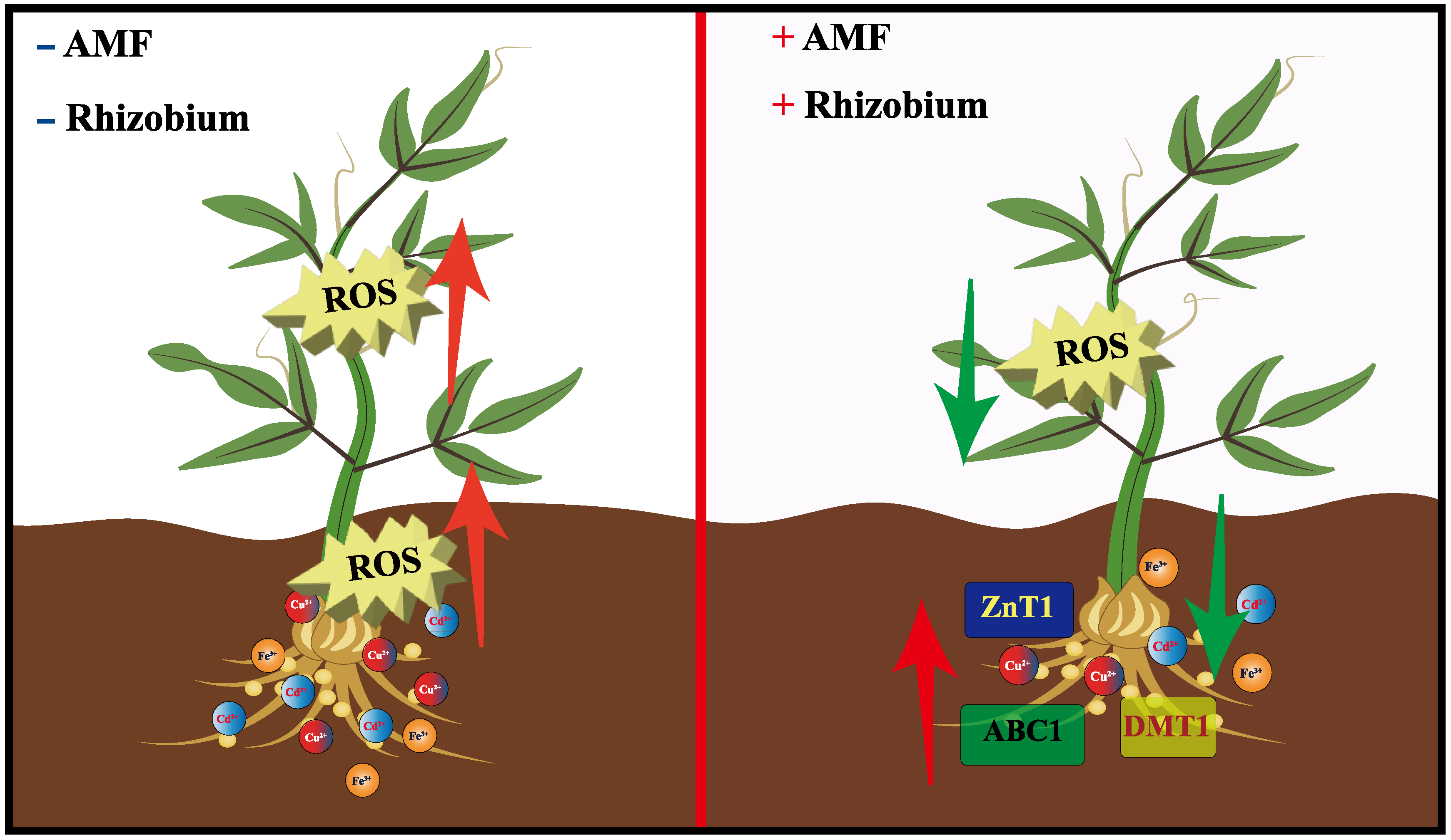 Signaling and Detoxification Strategies in Plant-Microbes Symbiosis ...