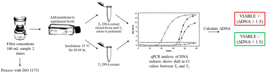 Inaccuracies of the ISO 11731 Method for Environmental Validation of ...