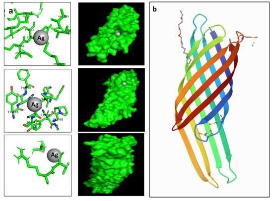 Biofilm Inhibitory Activity of Actinomycete-Synthesized AgNPs with Low ...