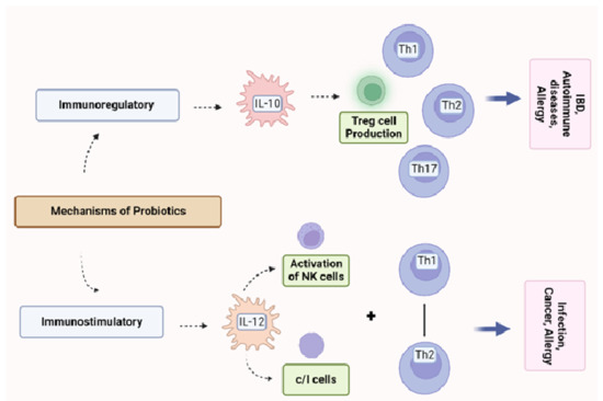 Probiotics and Postbiotics as the Functional Food Components Affecting ...